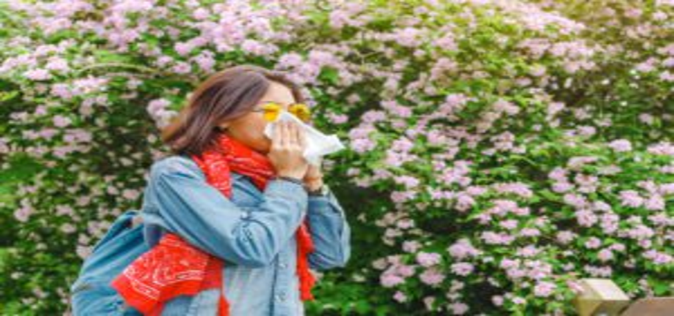 Understanding Allergies: Your Comprehensive Guide - theskinartistry Understanding Allergies: Your Comprehensive Guide - theskinartistry